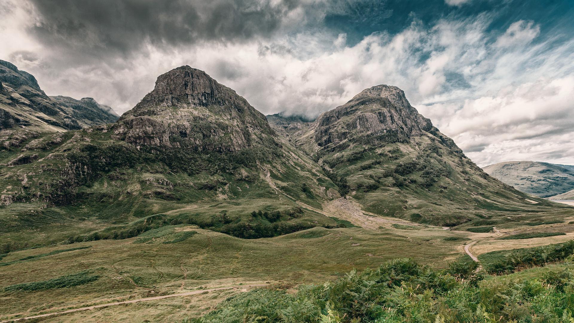 Mossy Earth: Together for the Protection of Biodiversity | Viva Digital